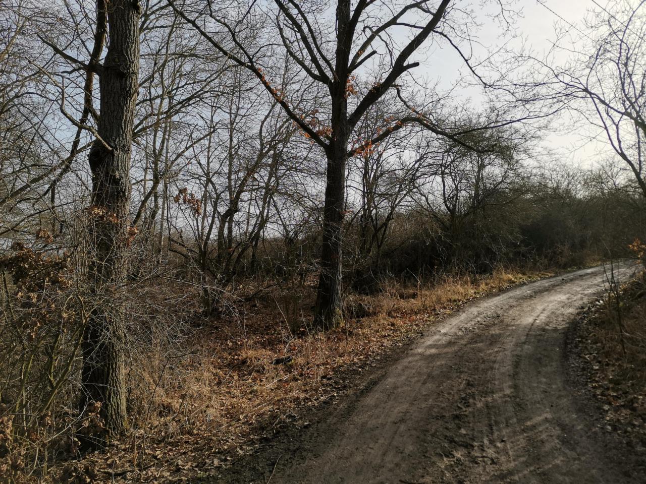 Stavba polní cesty C1 do Vlčic - Oficiální stránky města Blovice